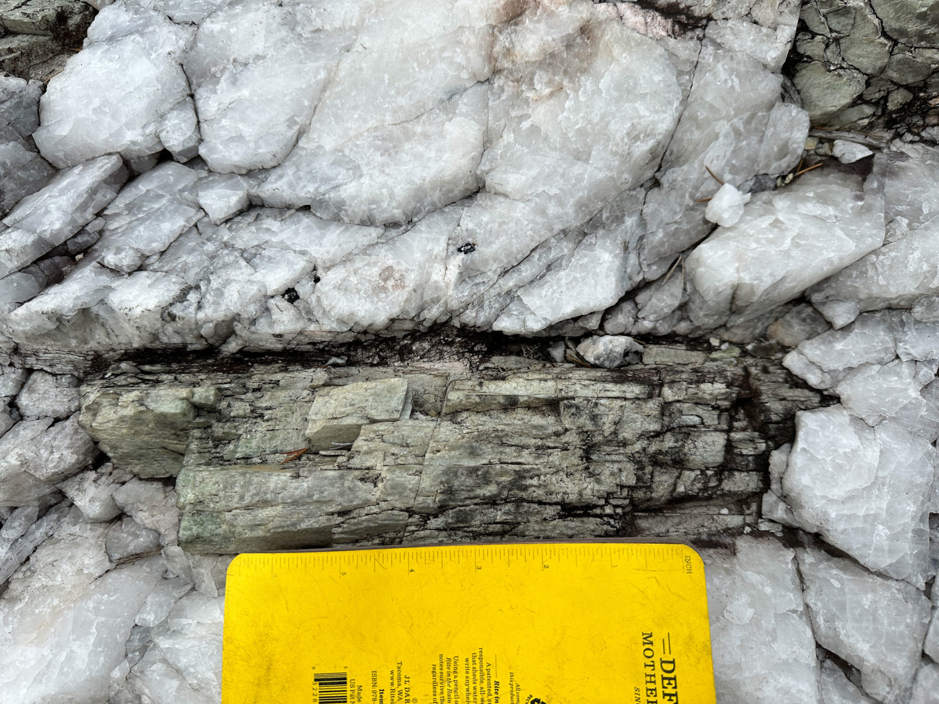 Mt Tremblant Lithium Projects – Fin Resources Limited